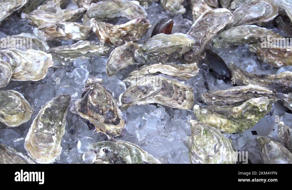 Shellfish shell fish stall Stock Videos & Footage - HD and 4K Video ...