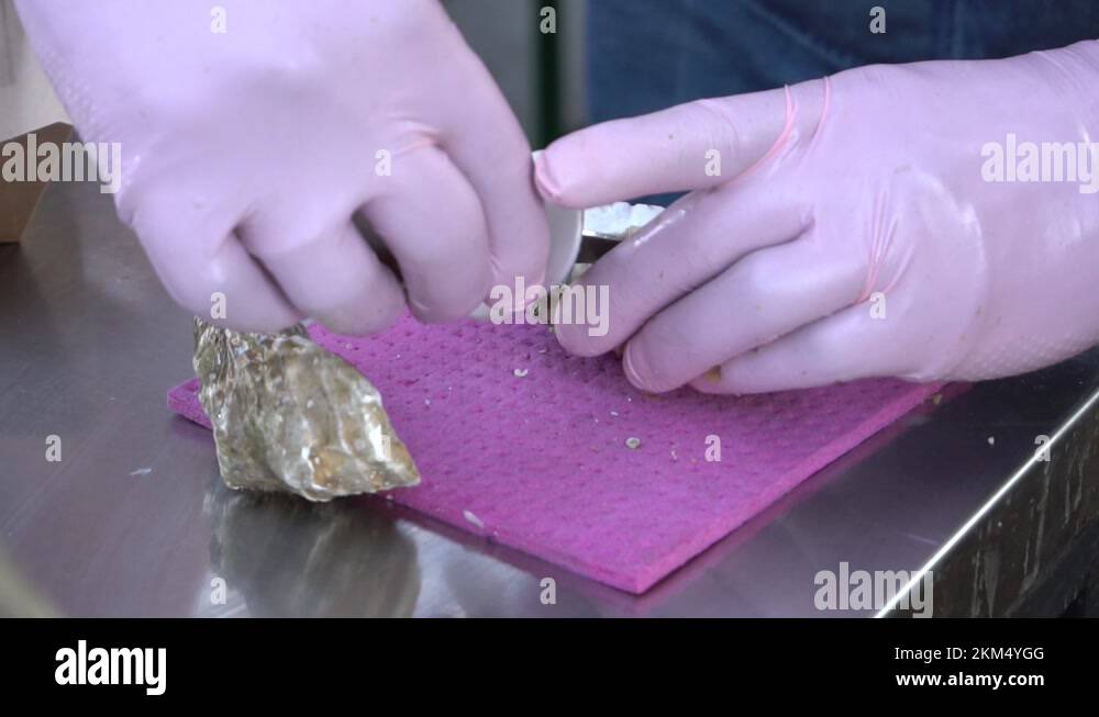 Opening shell Stock Videos & Footage - HD and 4K Video Clips - Alamy