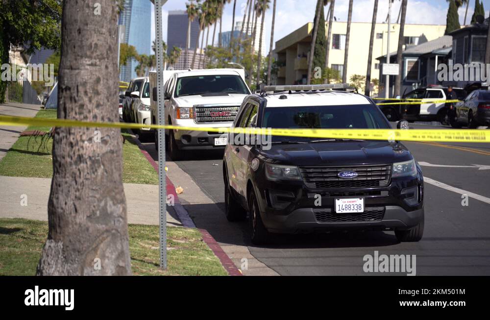 Police car crime scene Stock Videos & Footage - HD and 4K Video Clips ...