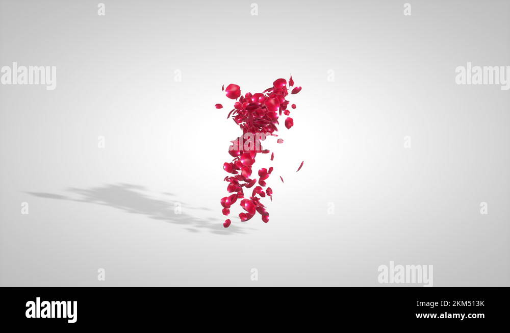 Number made from flower Stock Videos & Footage - HD and 4K Video Clips ...