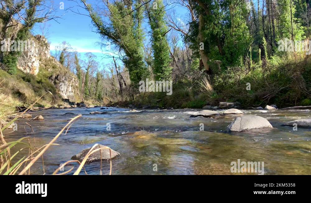 Water flows through a river with tall trees and rocks on its bank in ...