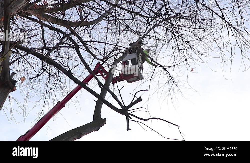 Man cherry picker Stock Videos & Footage - HD and 4K Video Clips - Alamy