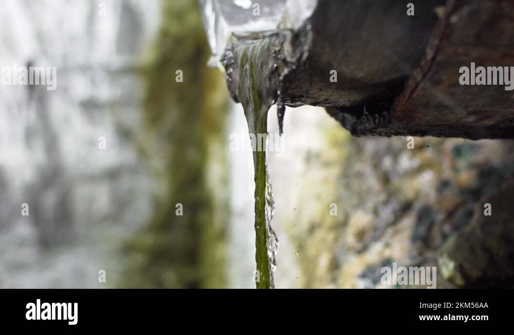 Storm drain algae Stock Videos & Footage - HD and 4K Video Clips - Alamy