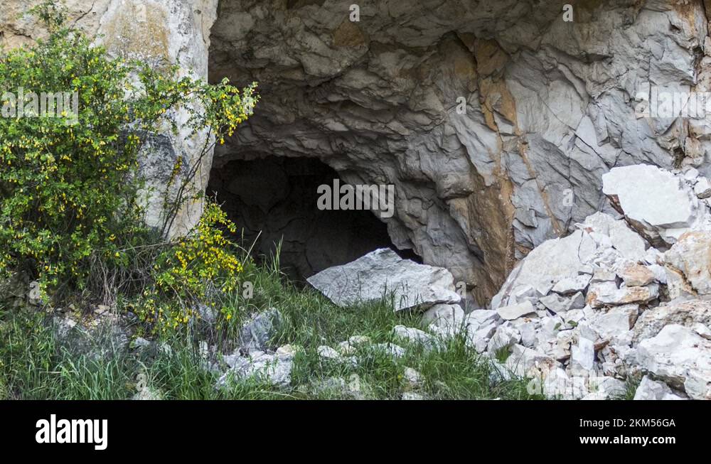 Scary entrance Stock Videos & Footage - HD and 4K Video Clips - Alamy