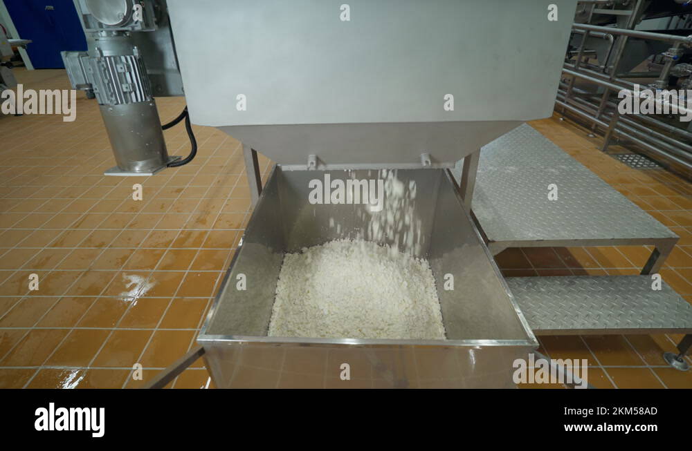 Automatic process of cottage cheese manufacturing at a modern dairy ...