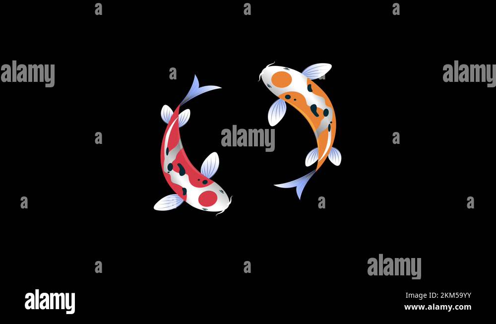 Fish illustration swim Stock Videos & Footage - HD and 4K Video Clips ...