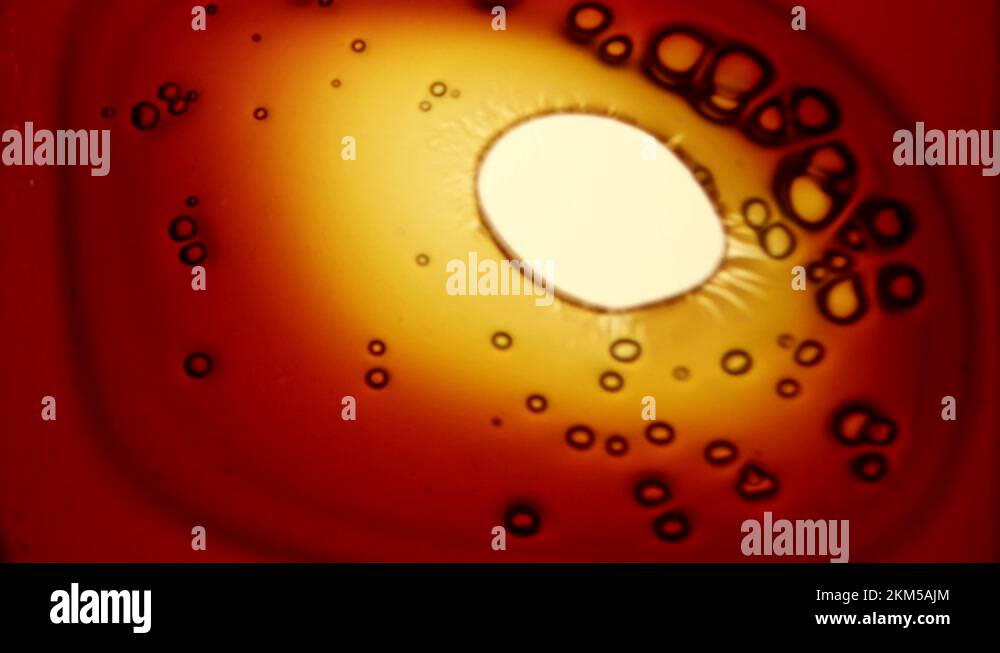 Melting frames in a movie projector on a red background 4K Stock Video ...