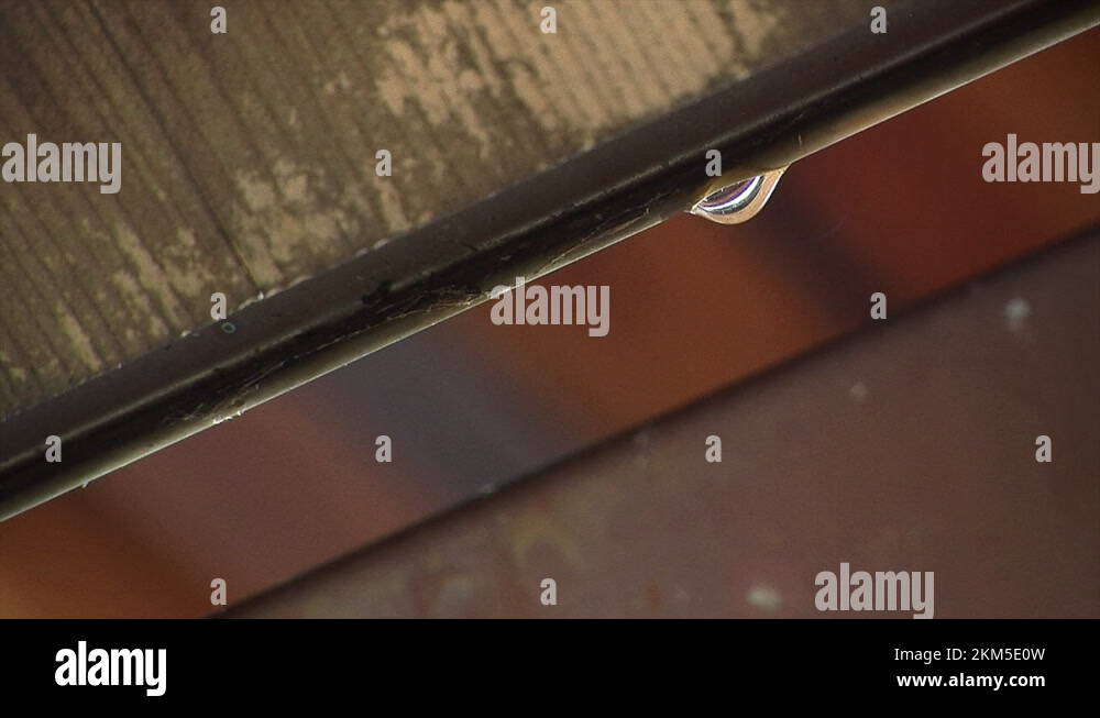 Water drop falls Stock Videos & Footage - HD and 4K Video Clips - Alamy