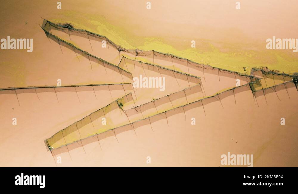 Algae mesh Stock Videos & Footage - HD and 4K Video Clips - Alamy