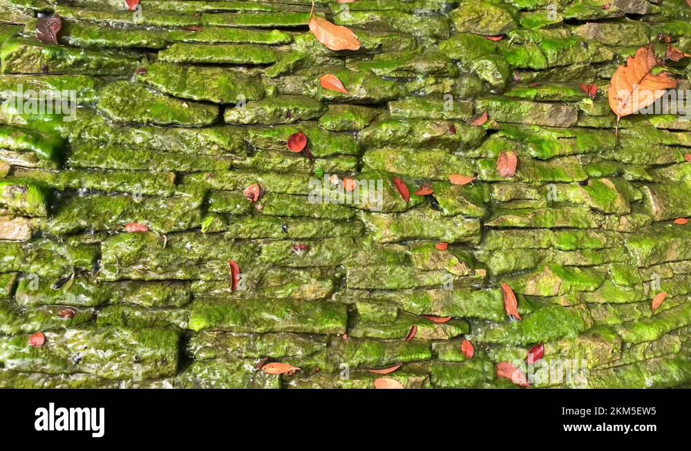 Water dripping on stone wall Stock Videos & Footage - HD and 4K Video ...