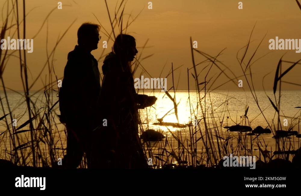 Silhouettes unrecognizable couple young people Stock Videos & Footage ...