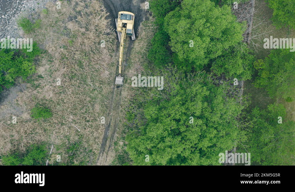 Two Deforestation Excavators Parked Beside Green Trees In Shizuoka ...