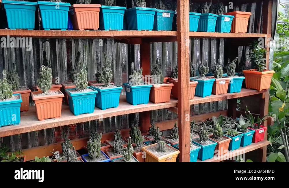 Save nature from pollution, air pollution, smoke, plant, live long ...