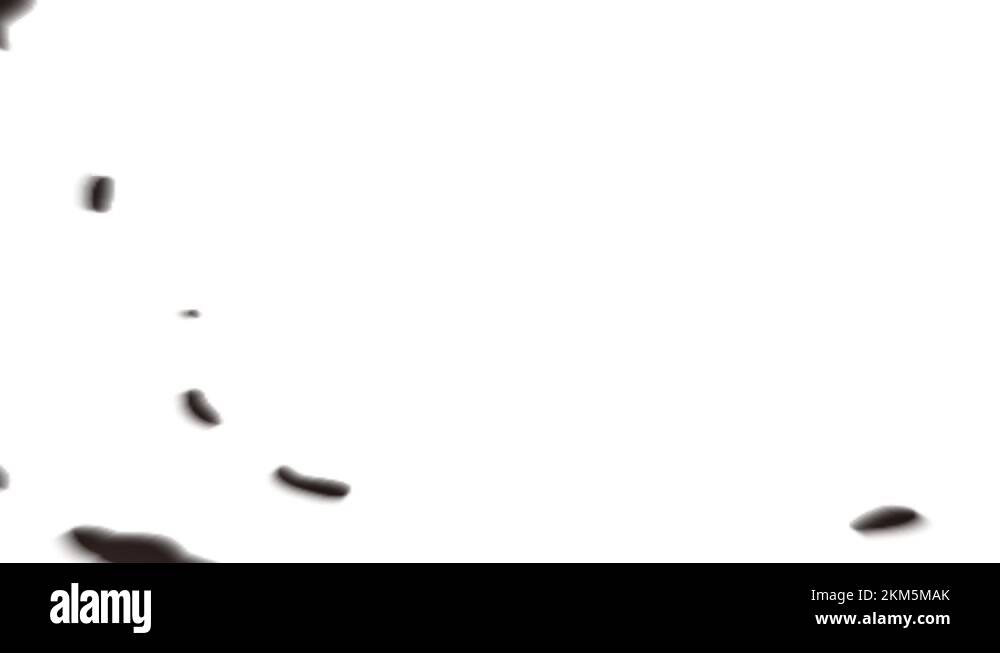 Fire explosion blast or Cartoon bomb effect 4k resolution. Explosion ...