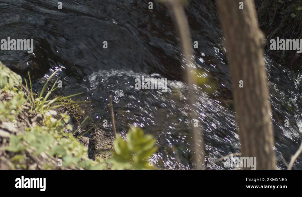 Rick the rock Stock Videos & Footage - HD and 4K Video Clips - Alamy