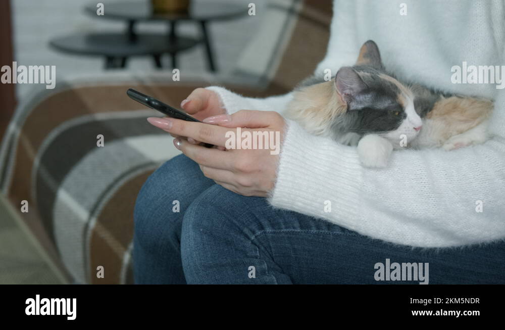 Catting Stock Videos & Footage - HD and 4K Video Clips - Alamy