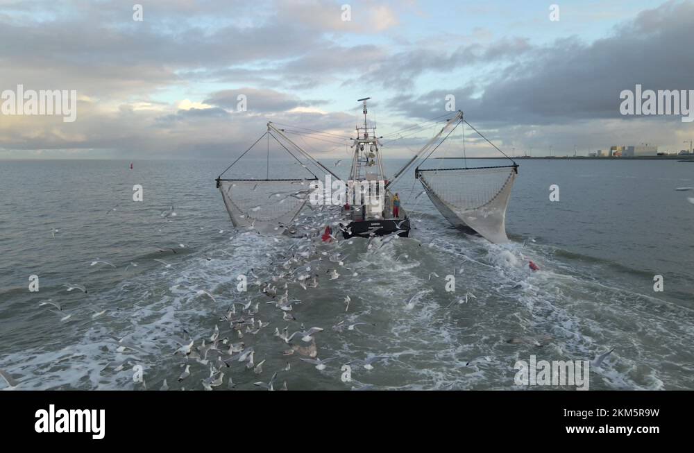 Beam trawler fishing nets Stock Videos & Footage - HD and 4K Video ...
