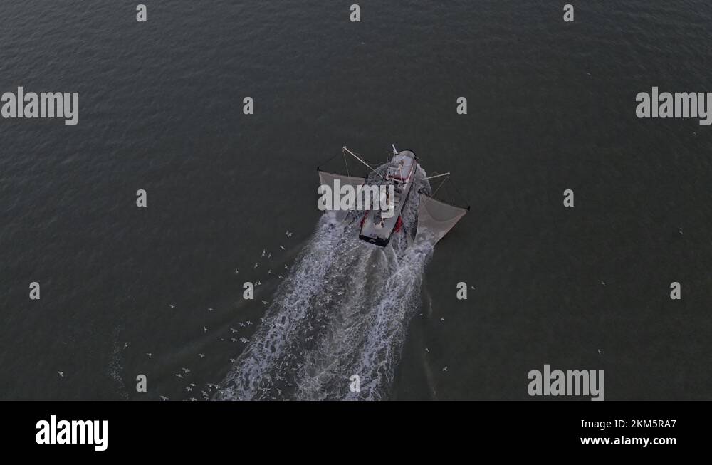 Bottom trawler catch Stock Videos & Footage - HD and 4K Video Clips - Alamy