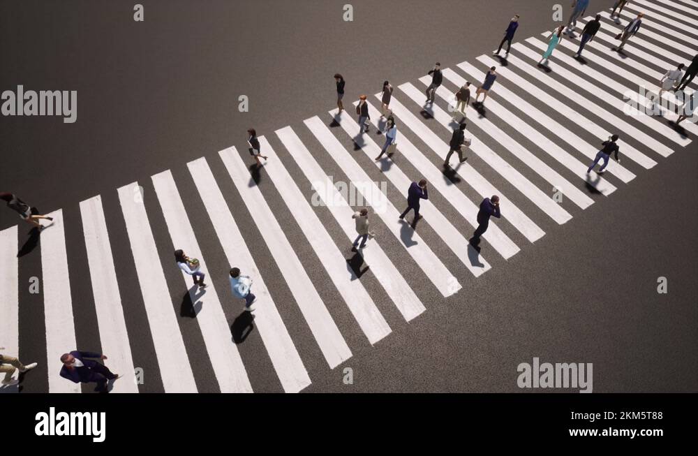 Road zebra marking Stock Videos & Footage - HD and 4K Video Clips - Alamy
