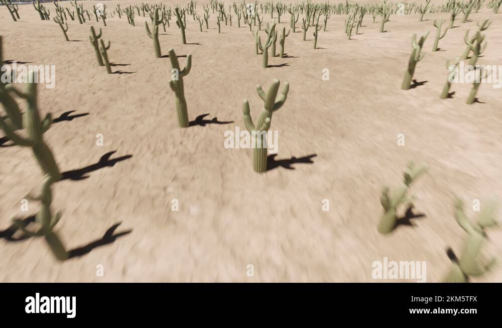Az field of cactus Stock Videos & Footage - HD and 4K Video Clips - Alamy