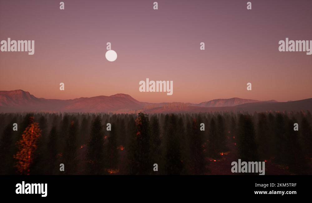 Moon and nature Stock Videos & Footage - HD and 4K Video Clips - Alamy