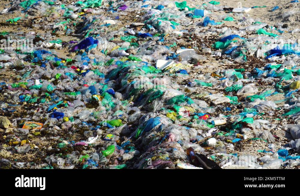 Devastating pollution lines the beach at Bãi Chuối banana point Thung ...