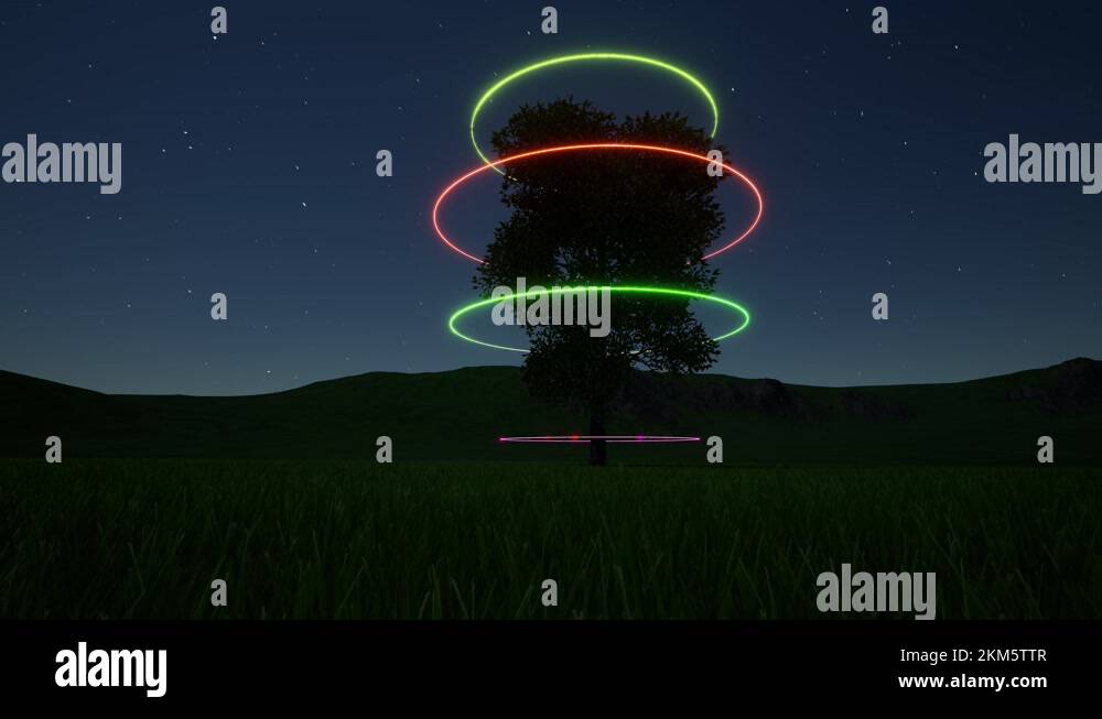 Neon tree Stock Videos & Footage - HD and 4K Video Clips - Alamy