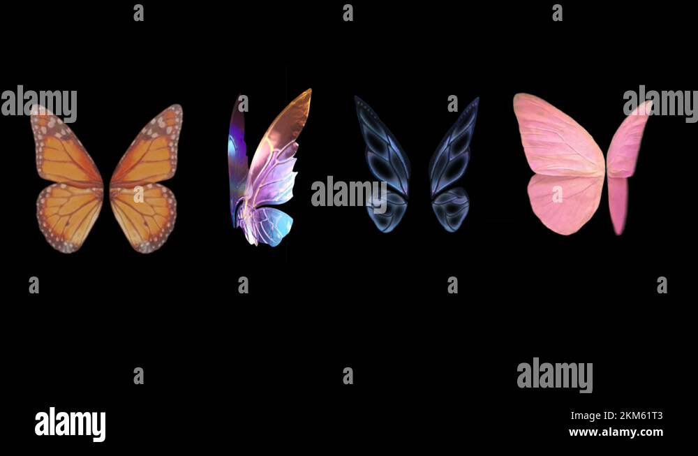 Group blue butterfly wings Stock Videos & Footage - HD and 4K Video ...