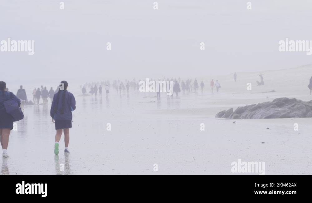 School class on beach Stock Videos & Footage - HD and 4K Video Clips ...