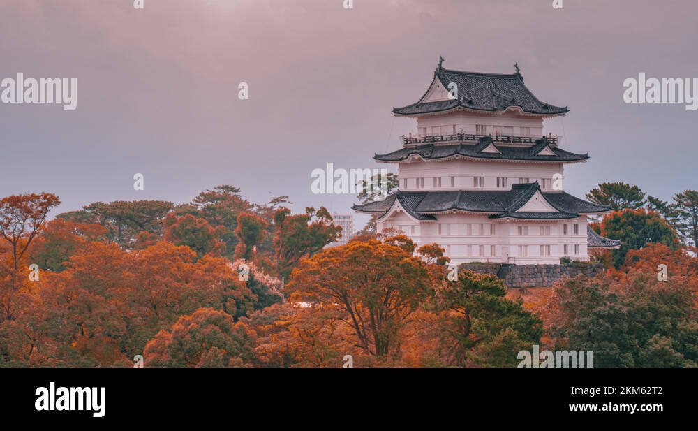 Odawara castle Stock Videos & Footage - HD and 4K Video Clips - Alamy