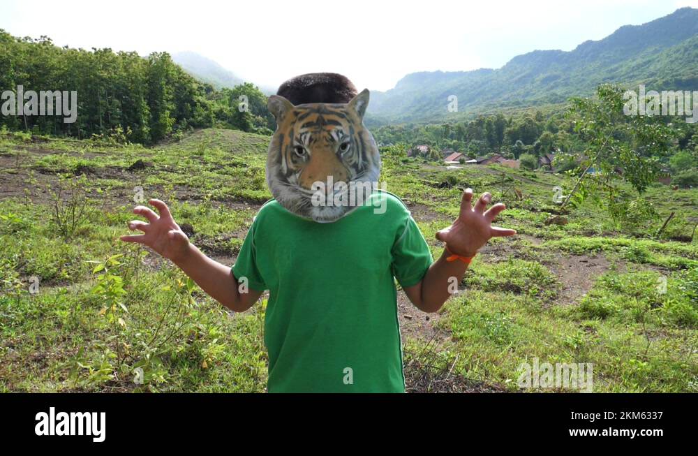Boy and tiger Stock Videos & Footage - HD and 4K Video Clips - Alamy
