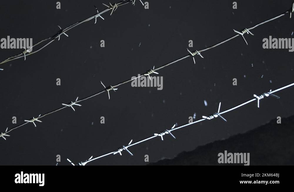prison barbed wire over concrete fence at cold dark winter night during ...