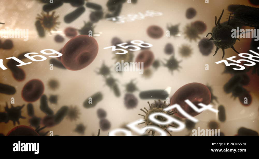 Digital cell Stock Videos & Footage - HD and 4K Video Clips - Alamy