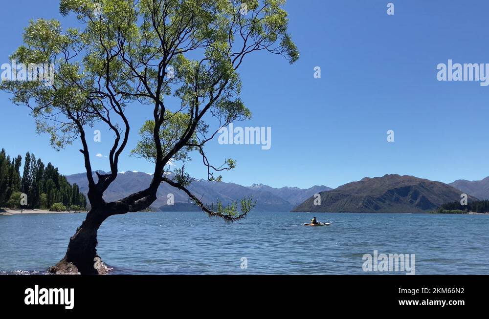 Tourist wanaka Stock Videos & Footage - HD and 4K Video Clips - Alamy