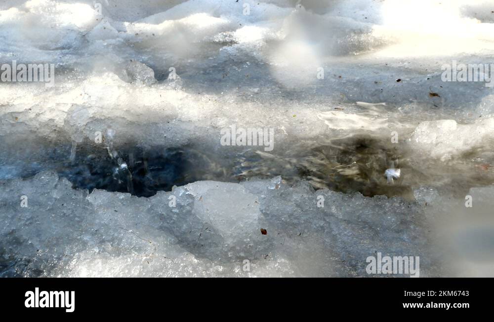 Snow melting drip Stock Videos & Footage - HD and 4K Video Clips - Alamy
