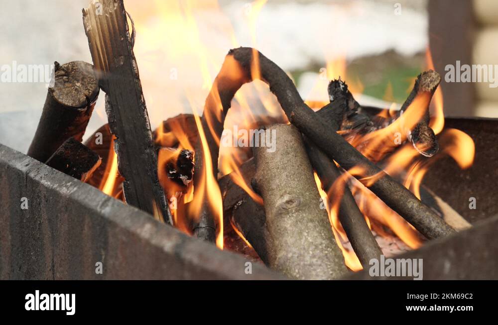 Charred logs in bonfire. Burning wooden logs with hot flames. Bonfire ...