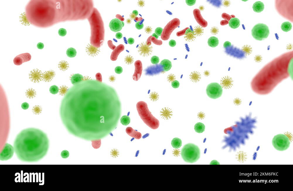 Microbiome body Healthy food Human health microbes in the human gut ...