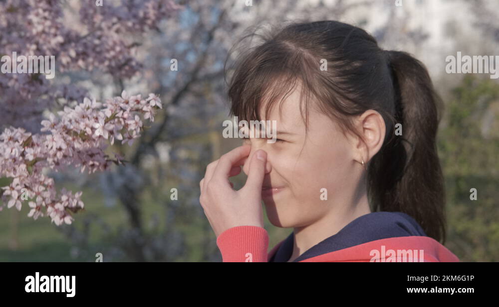 Pollen prevention Stock Videos & Footage - HD and 4K Video Clips - Alamy