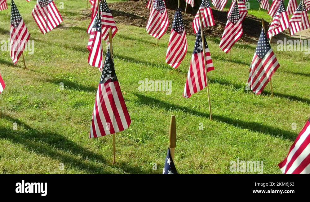 Flags on the field Stock Videos & Footage - HD and 4K Video Clips - Alamy