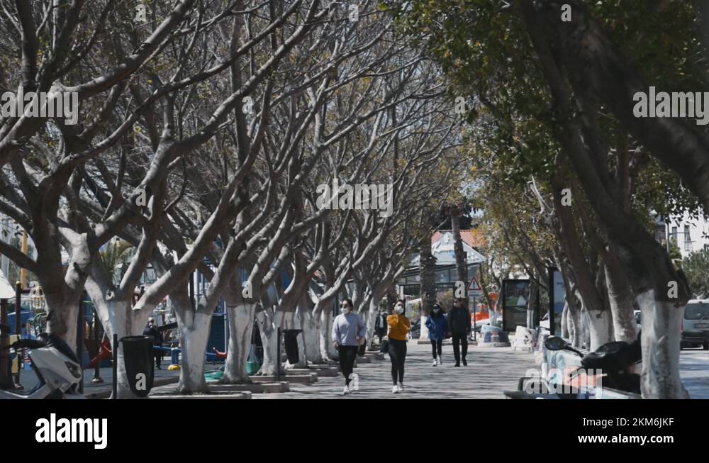 Walking shades Stock Videos & Footage - HD and 4K Video Clips - Alamy