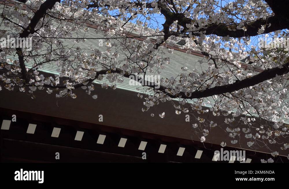 Japanese shrine roof Stock Videos & Footage - HD and 4K Video Clips - Alamy