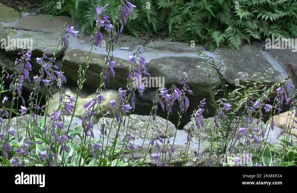 Rainwater drainage channel Stock Videos & Footage - HD and 4K Video ...