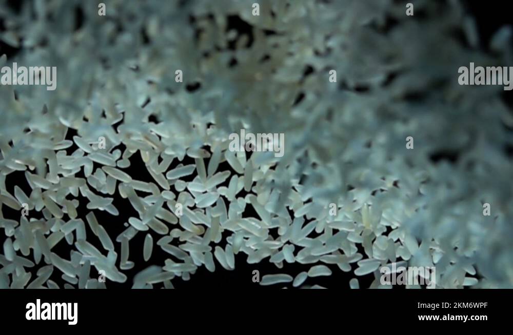 Camera exploded view Stock Videos & Footage - HD and 4K Video Clips - Alamy