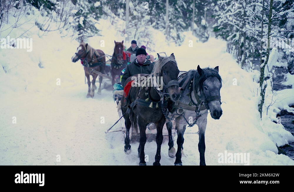 Horse sleigh rides Stock Videos & Footage - HD and 4K Video Clips - Alamy