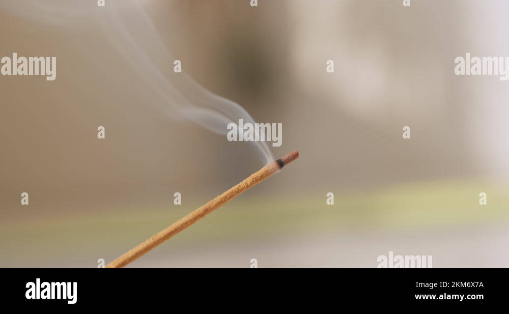 Sandal stick Stock Videos & Footage - HD and 4K Video Clips - Alamy