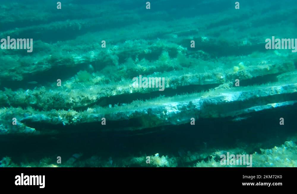 Sedimentary bottom Stock Videos & Footage - HD and 4K Video Clips - Alamy