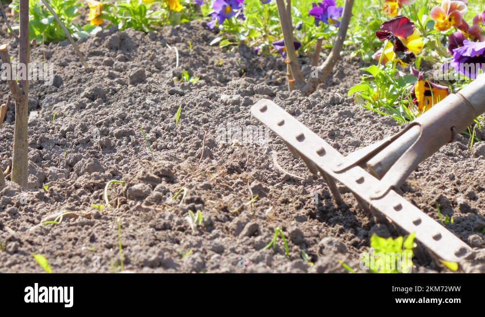 Soil cuttings Stock Videos & Footage - HD and 4K Video Clips - Alamy