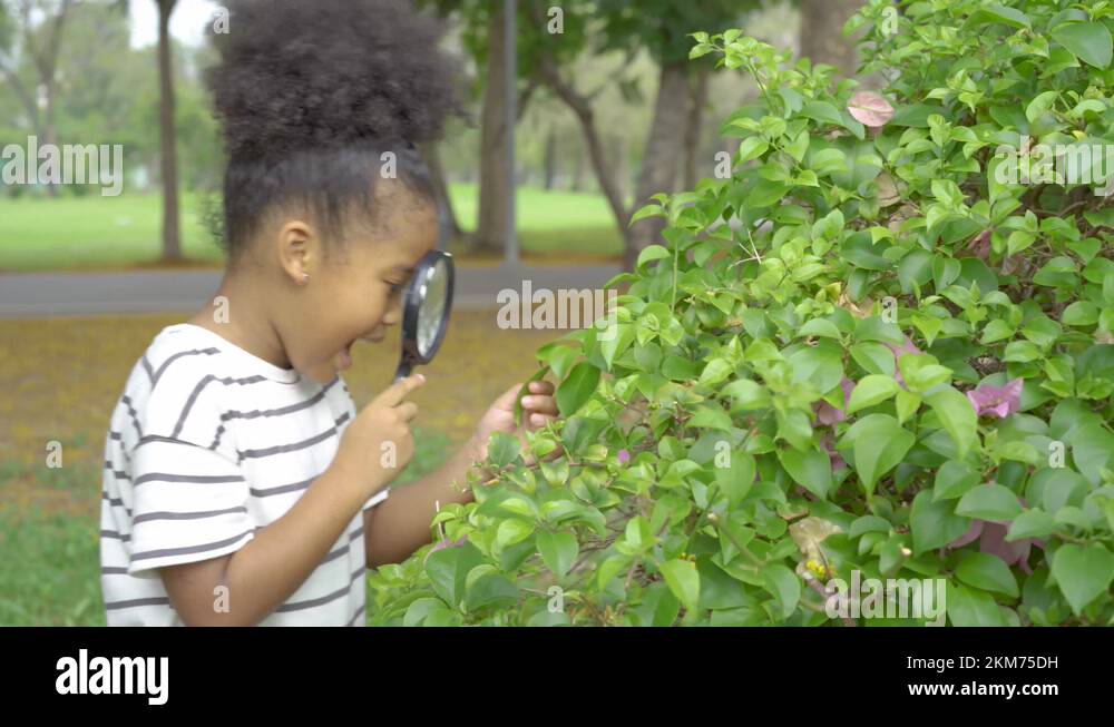 Cute child girl looking through a magnifying glass for insects in tree ...
