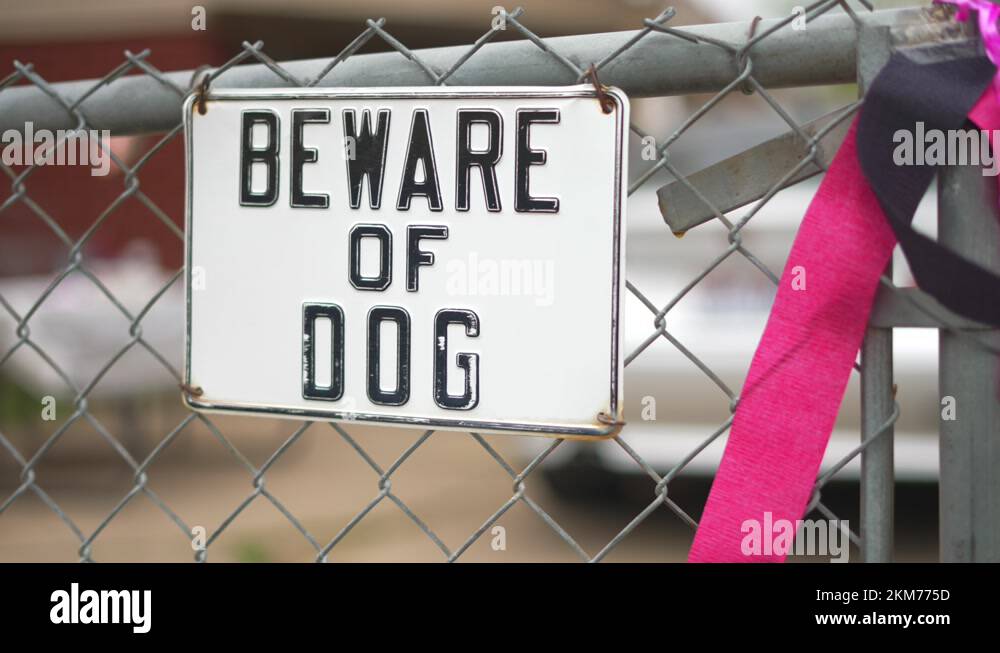 Dog font Stock Videos & Footage - HD and 4K Video Clips - Alamy