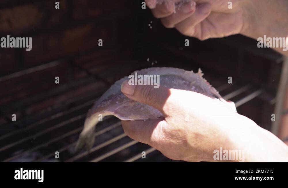 Salting fish Stock Videos & Footage - HD and 4K Video Clips - Alamy